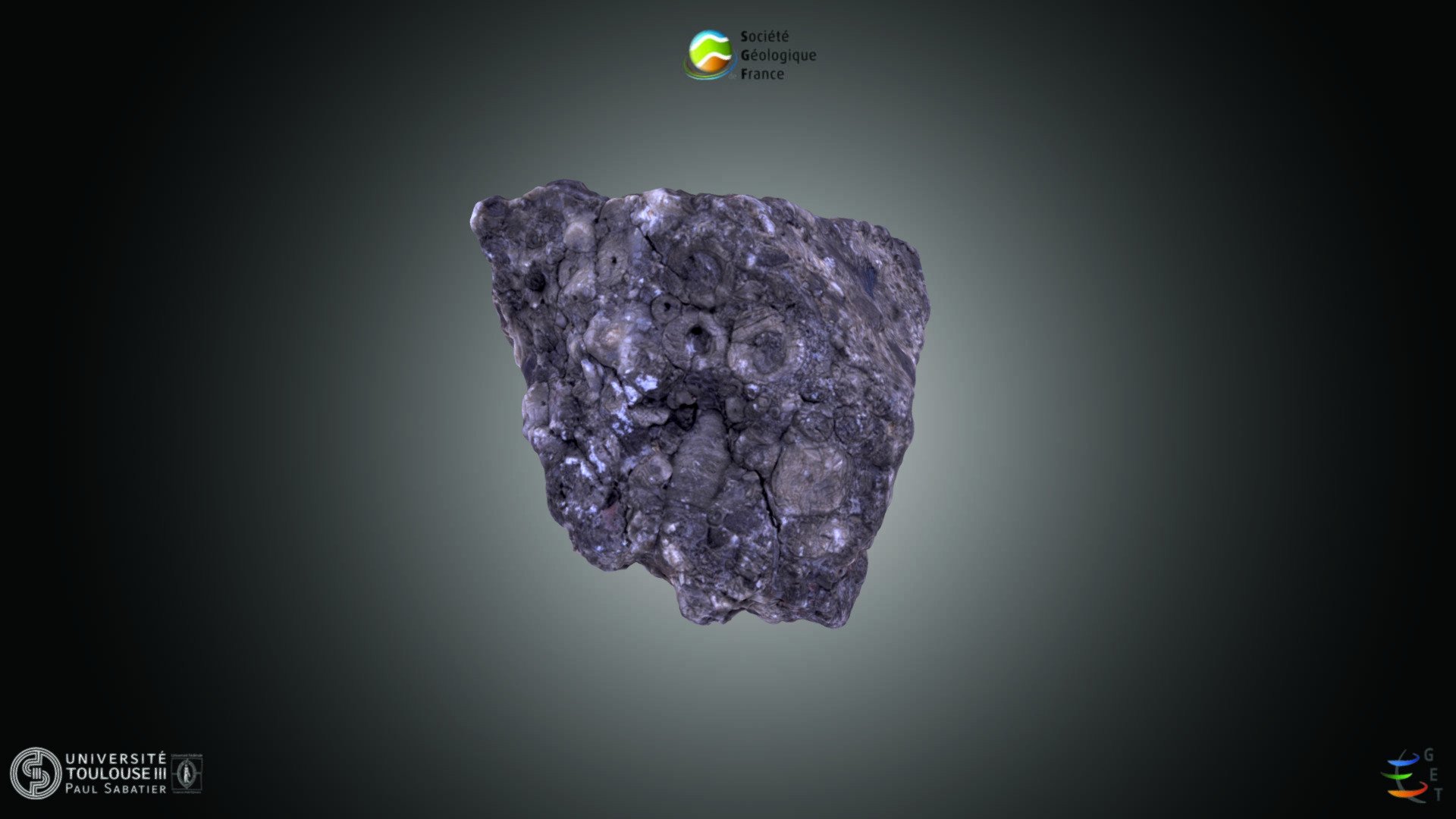 Roche - Calcaire à entroques - Download Free 3D model by Société ...