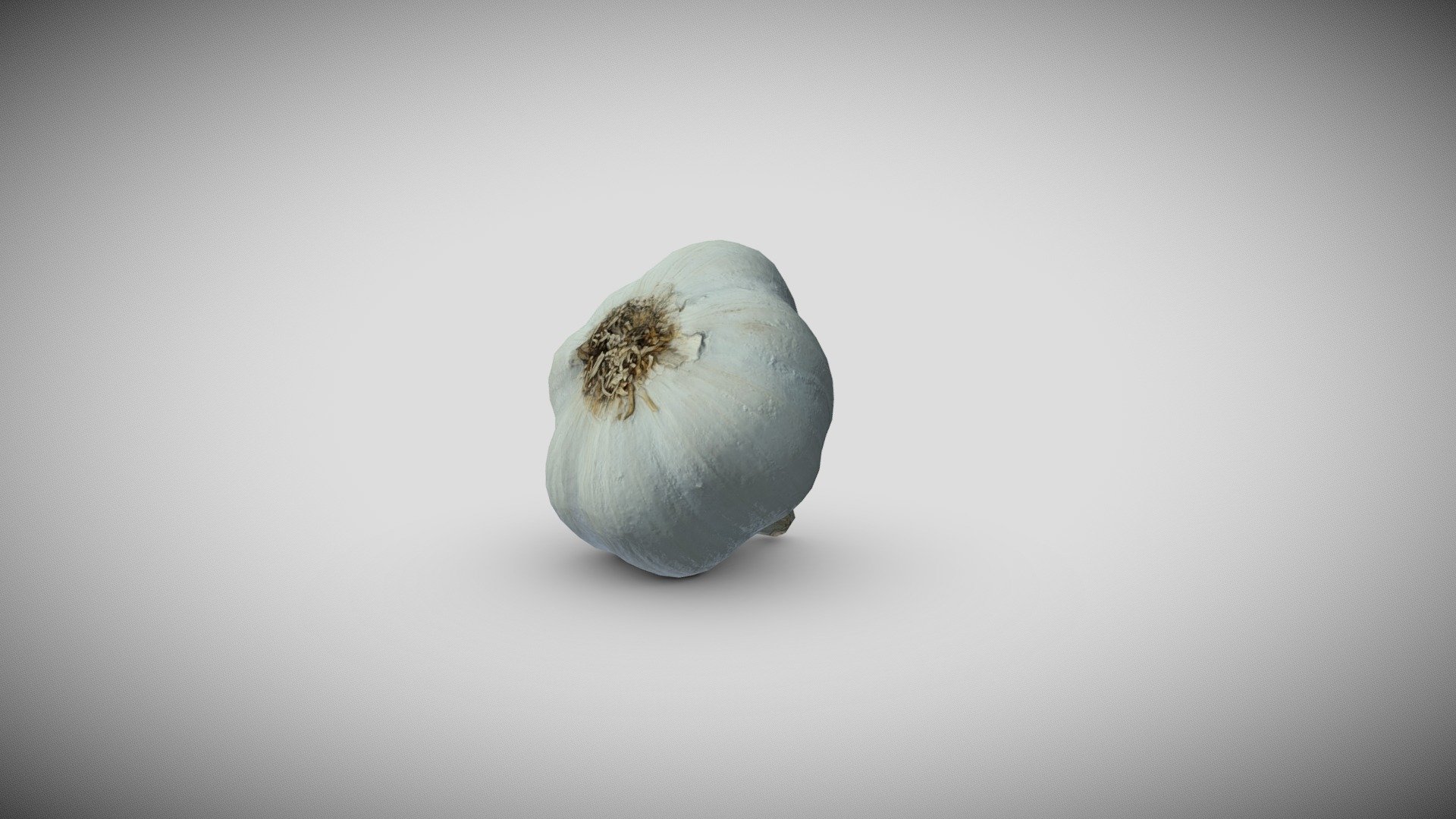 Garlic (Photogrammetry) - Buy Royalty Free 3D model by Meshfinder ...