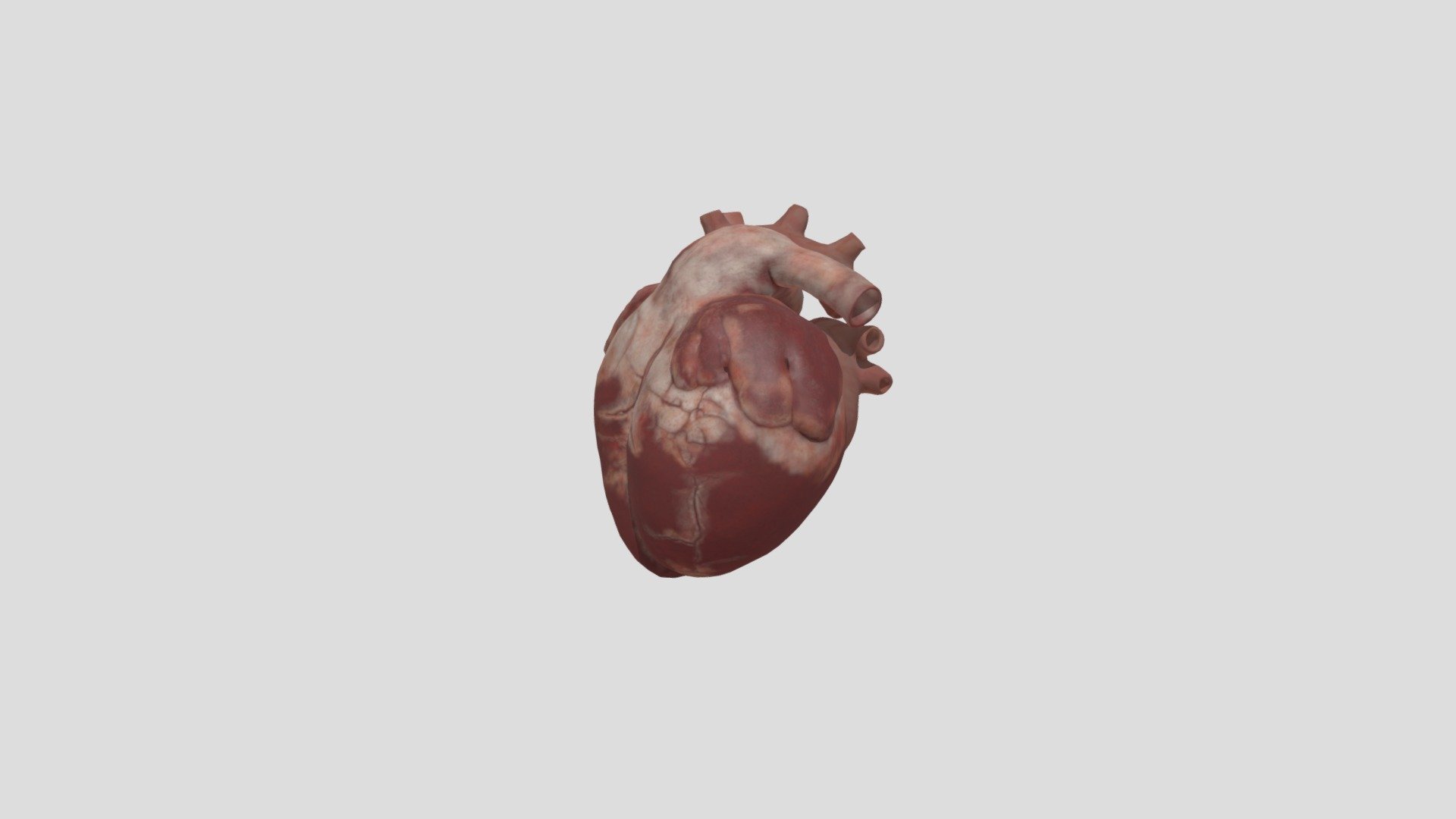 heart_week8 - 3D model by GLTFconverter [af4f2cd] - Sketchfab