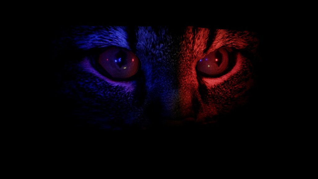 Creepy Cat - 3D model by Chromasie [af5bc79] - Sketchfab