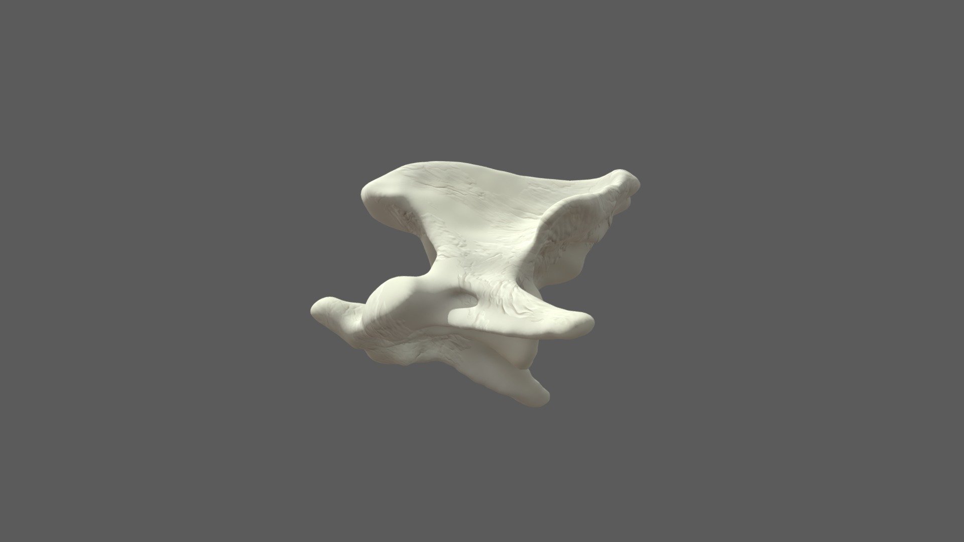 Canine - Axis - C2 Vertebra - 3D model by VetVis3D [af61c5e] - Sketchfab