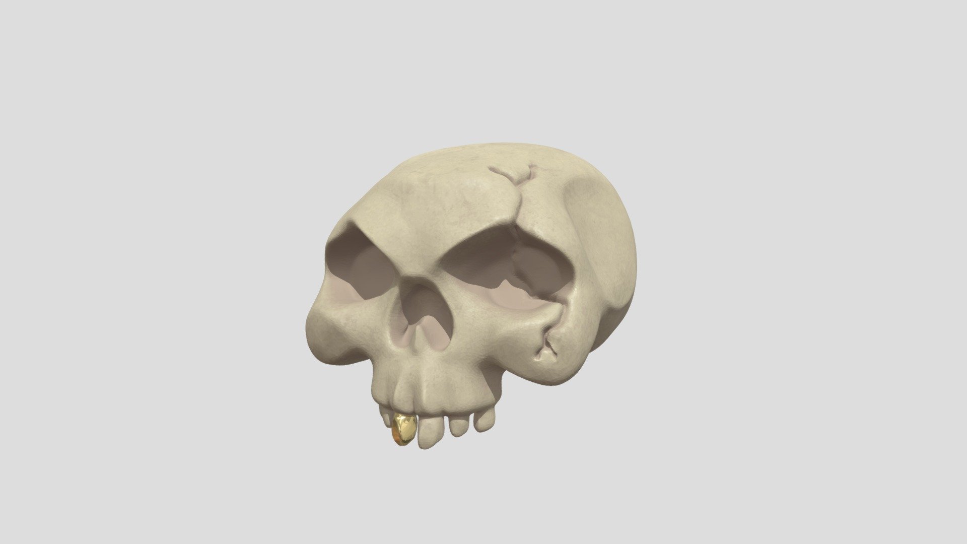 Calavera - 3D model by kaaru_56 [af6665e] - Sketchfab