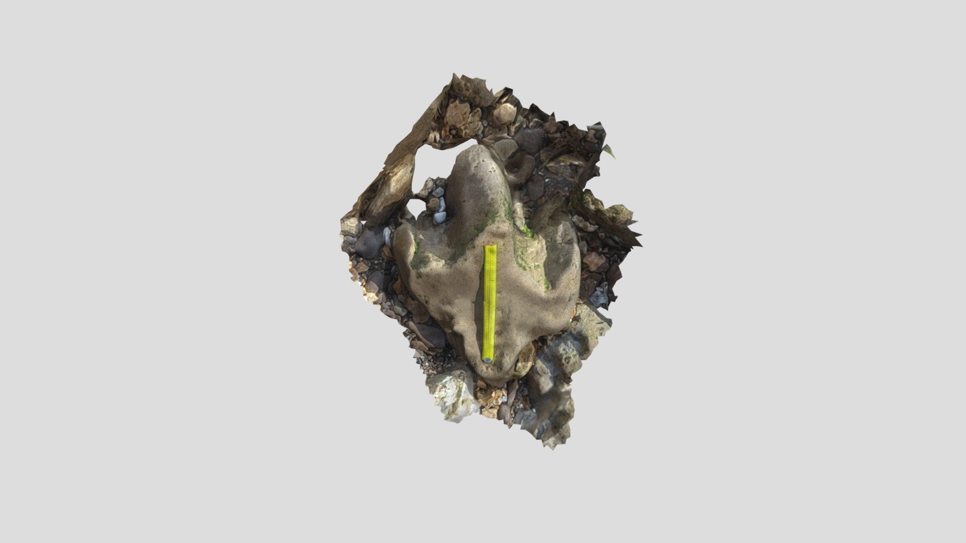 Textured Mesh 2 - 3D model by arthropodics [af69c4c] - Sketchfab