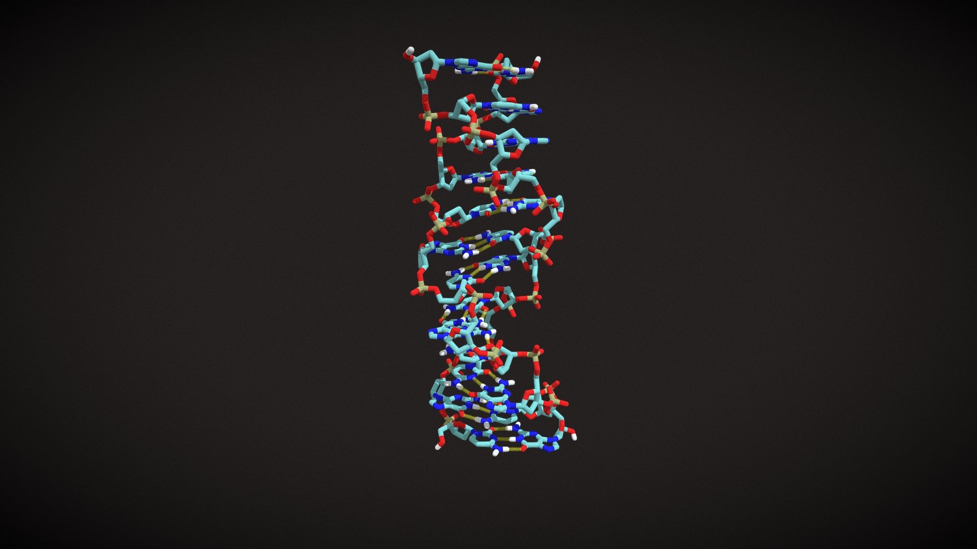 Z-DNA, stick model - Download Free 3D model by gvsuchem (@gvsu-chem ...