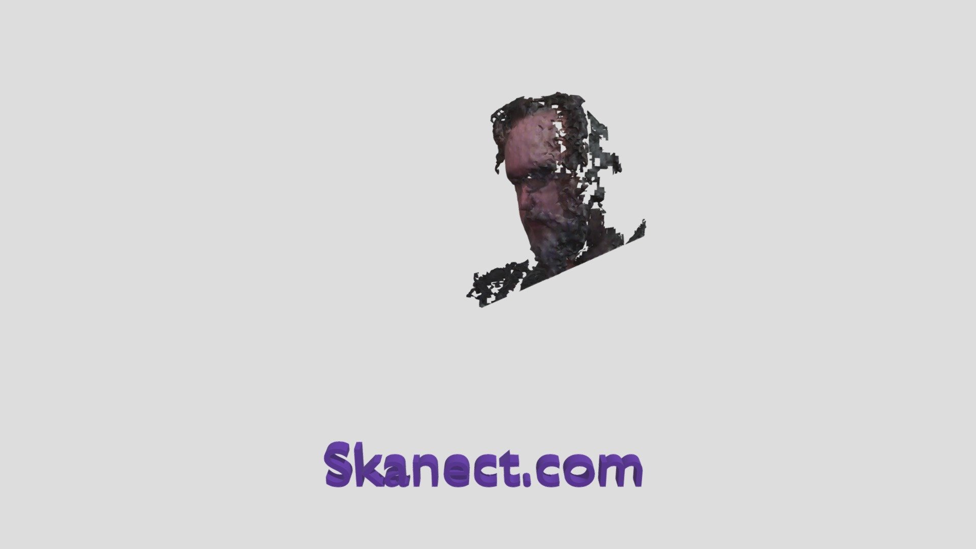 New Skanect Model - 3D model by cnroper [af6d59c] - Sketchfab