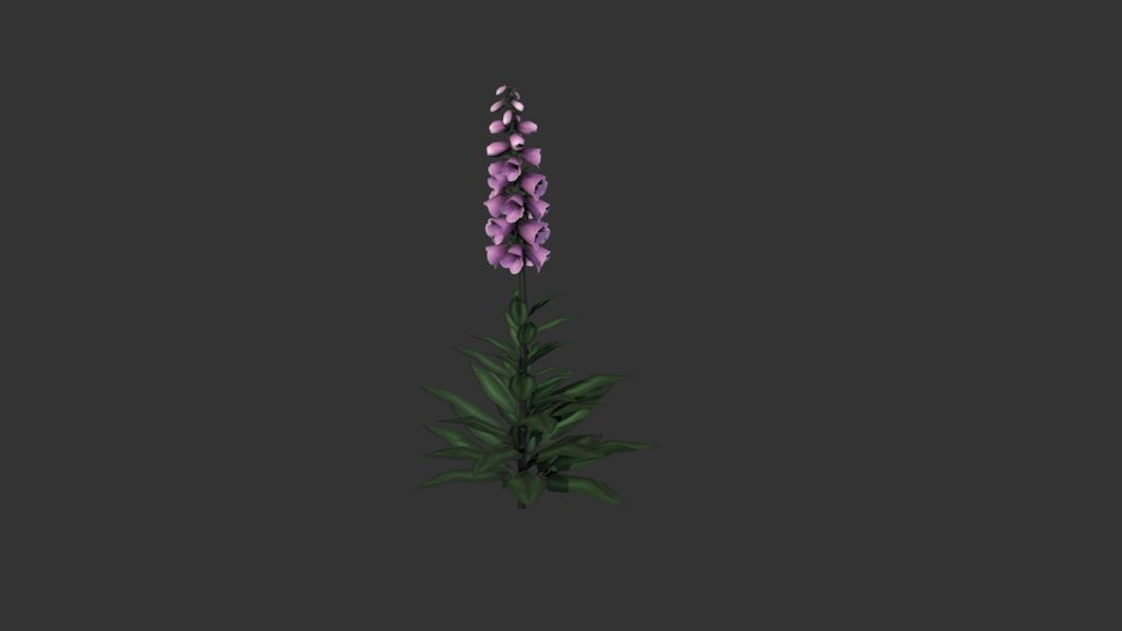 Foxglove - 3D model by kingtrashboat [af7b254] - Sketchfab