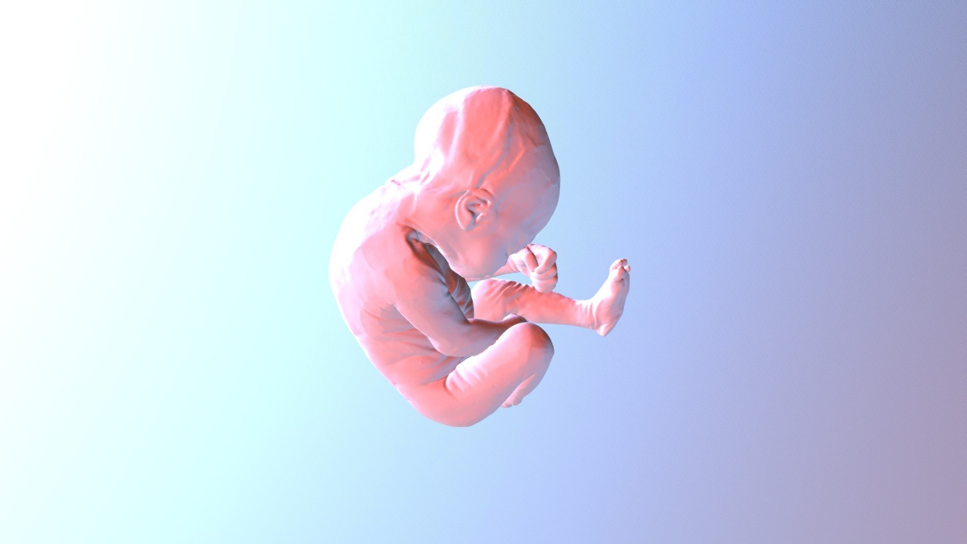 Our Baby - 3D model by ClaraNU [af82c4b] - Sketchfab