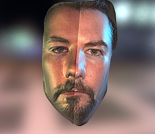 high res face scan - 3D model by Augmented Reality Design Solutions ...
