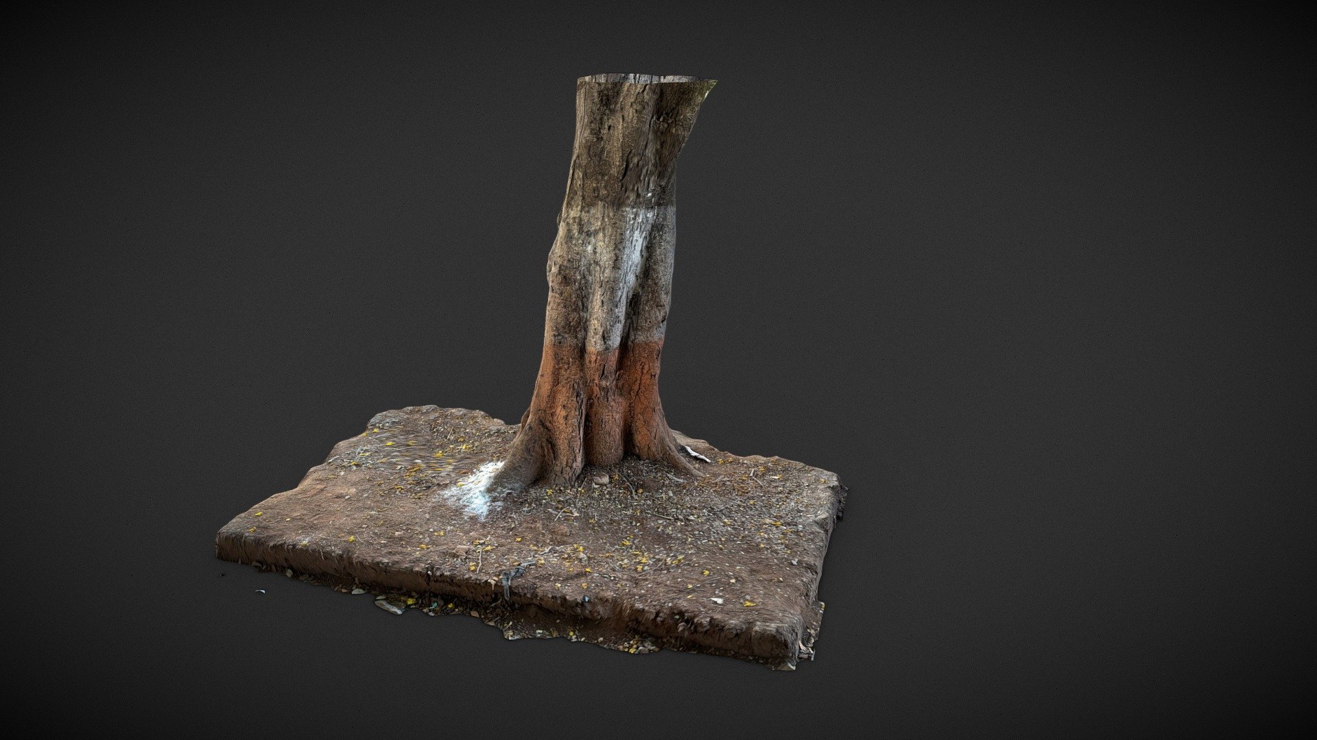 Tree Trunk - Download Free 3D model by raobott [af8857f] - Sketchfab