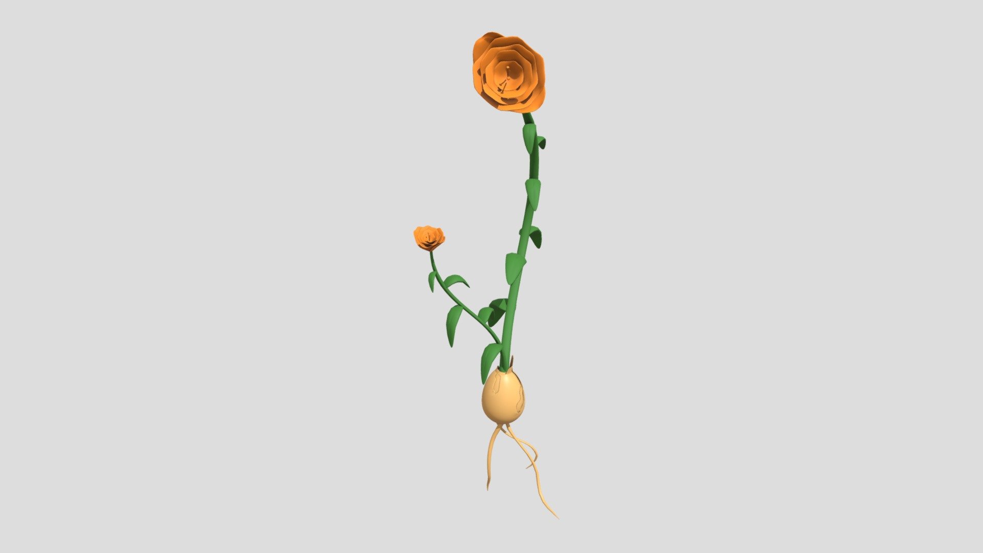 Flower Collectible - 3D model by am316941 [af8b24f] - Sketchfab