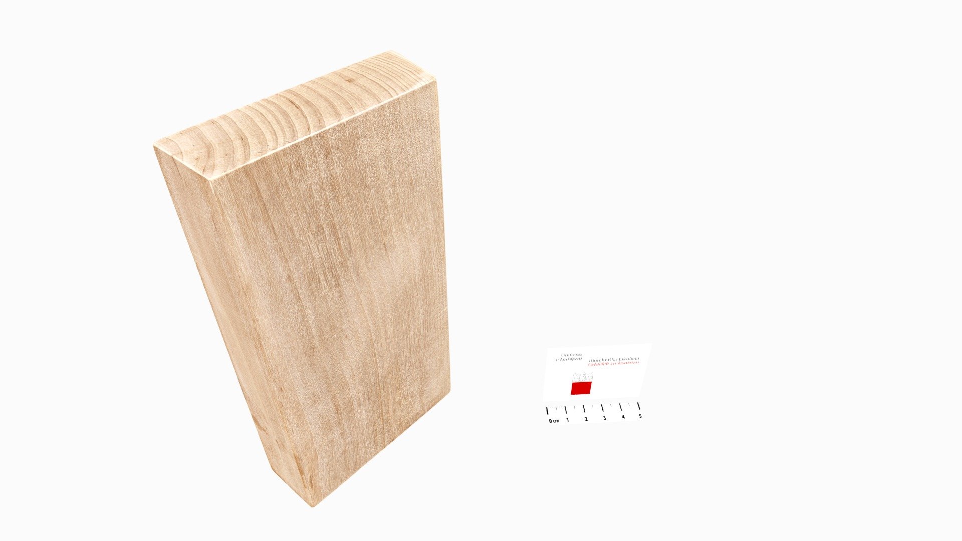 *Betula spp* - Birch - breza - 3D model by dr. Maks Merela (@maksm ...