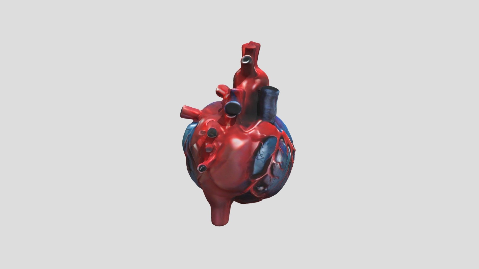 human_heart_draft - 3D model by paucampos [af95d79] - Sketchfab