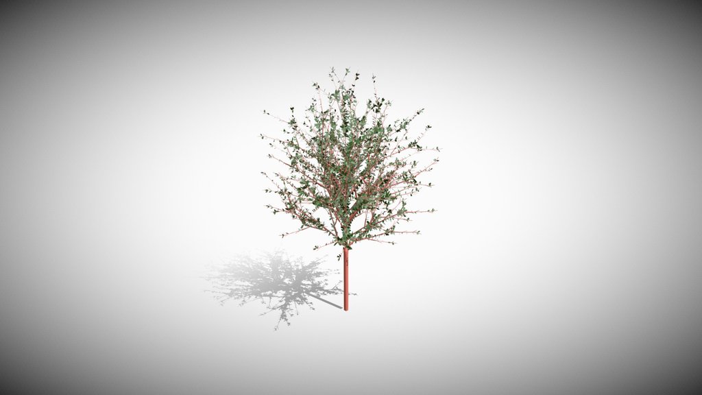 L-system Trees - A 3D model collection by UESReseach - Sketchfab