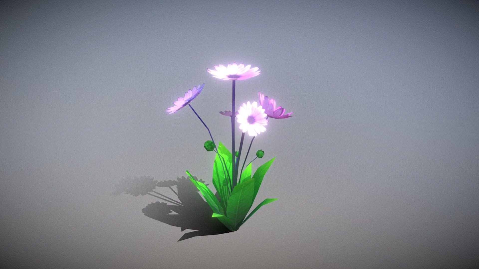 Flower03 - 3D model by Chushoga Productions (@chushoga) [af9d960 ...