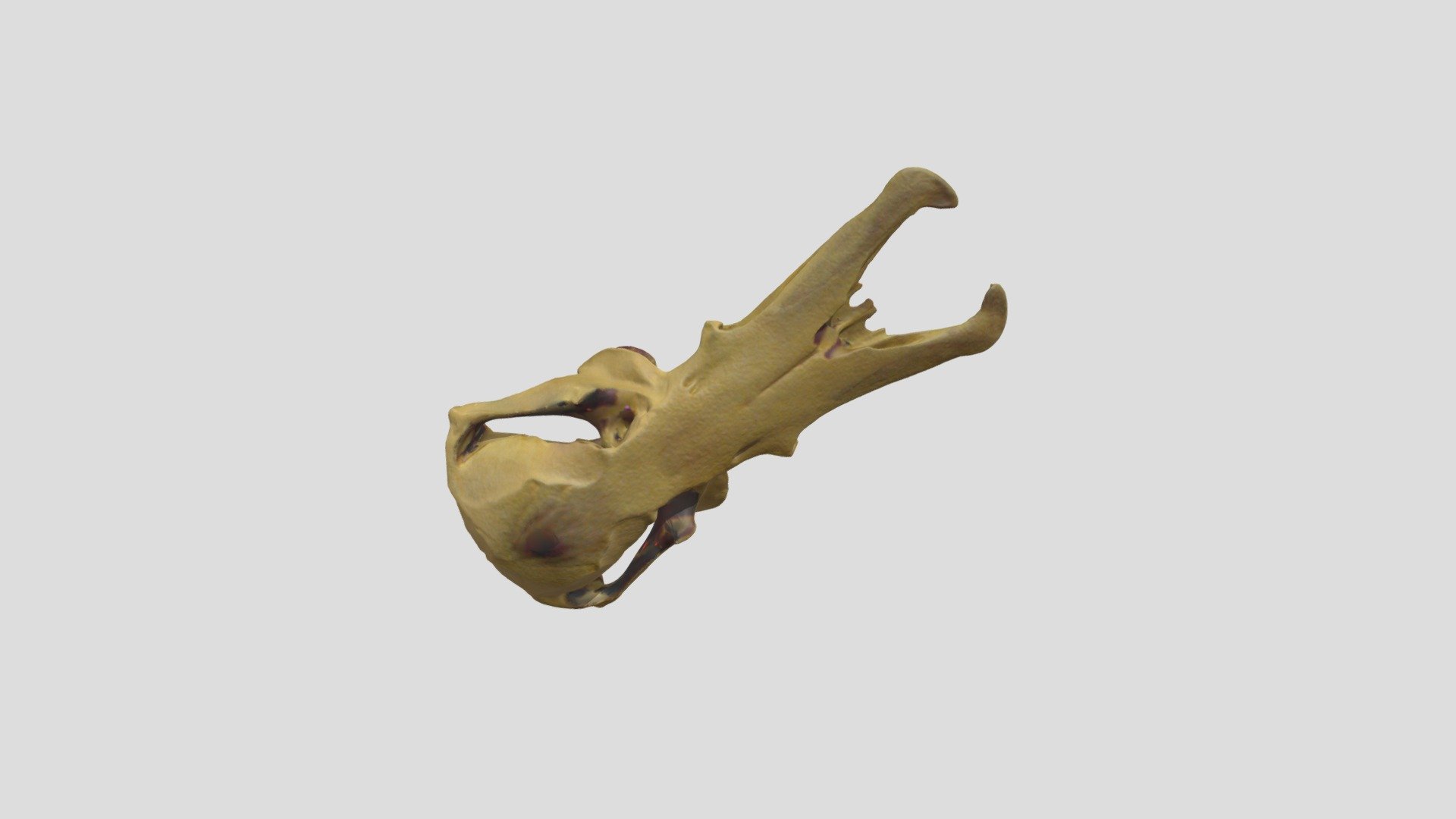 S1 - Download Free 3D model by megedwards [afa1a7c] - Sketchfab