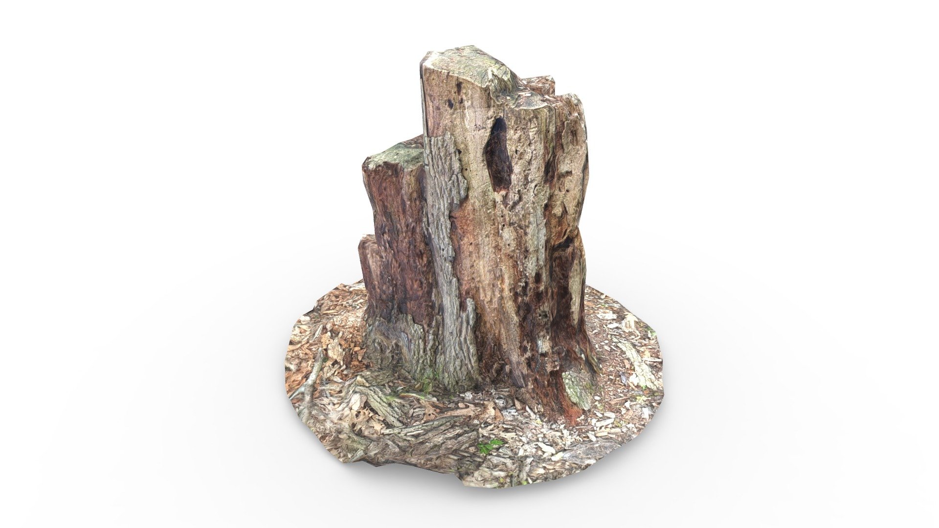 Tree Trunk (Game Ready / PBR) - Buy Royalty Free 3D model by Meerschaum ...