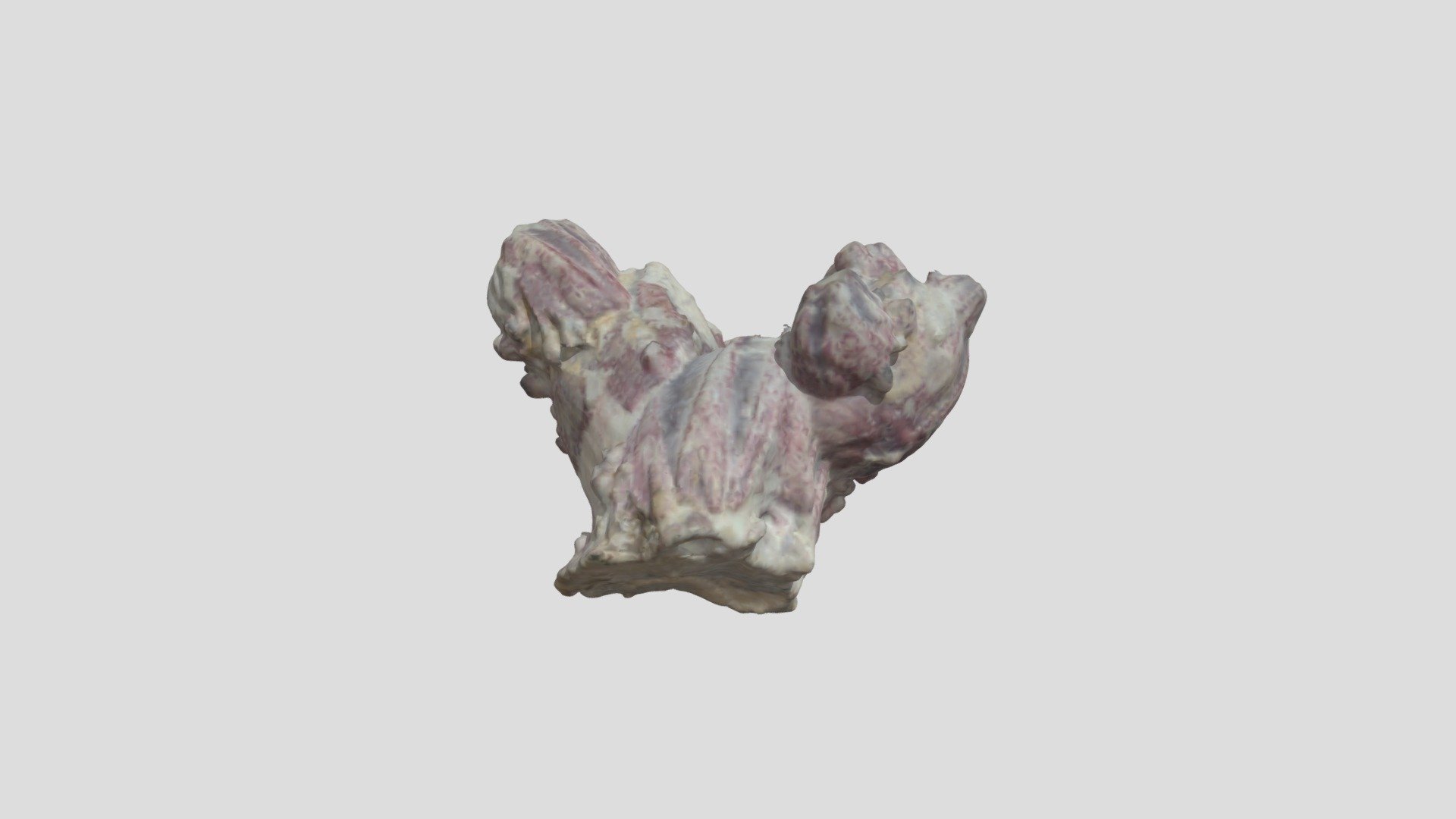 Barnicle - 3D model by tspattison [afb3781] - Sketchfab
