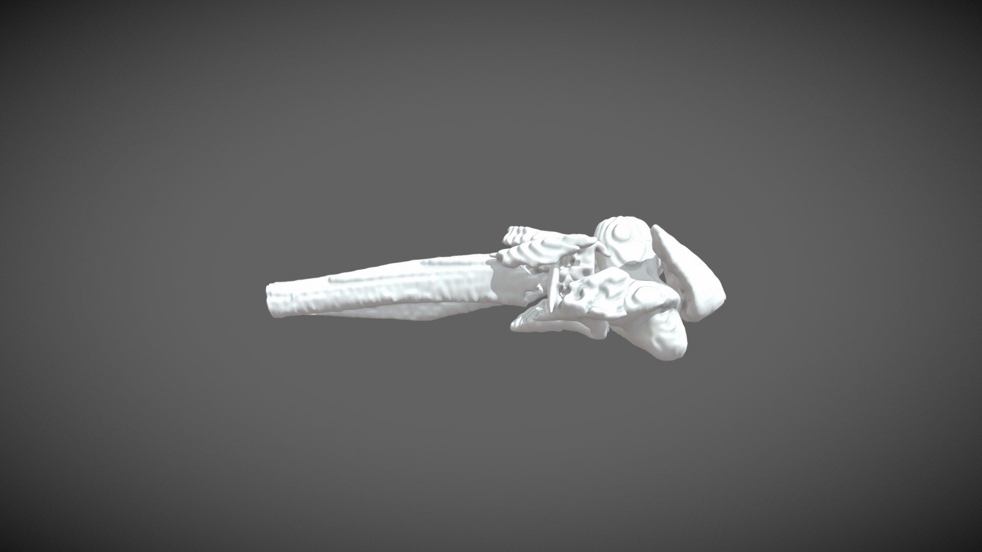 Segmentation Segment 1 3d Model By Ezequielmacri [afb4b85] Sketchfab