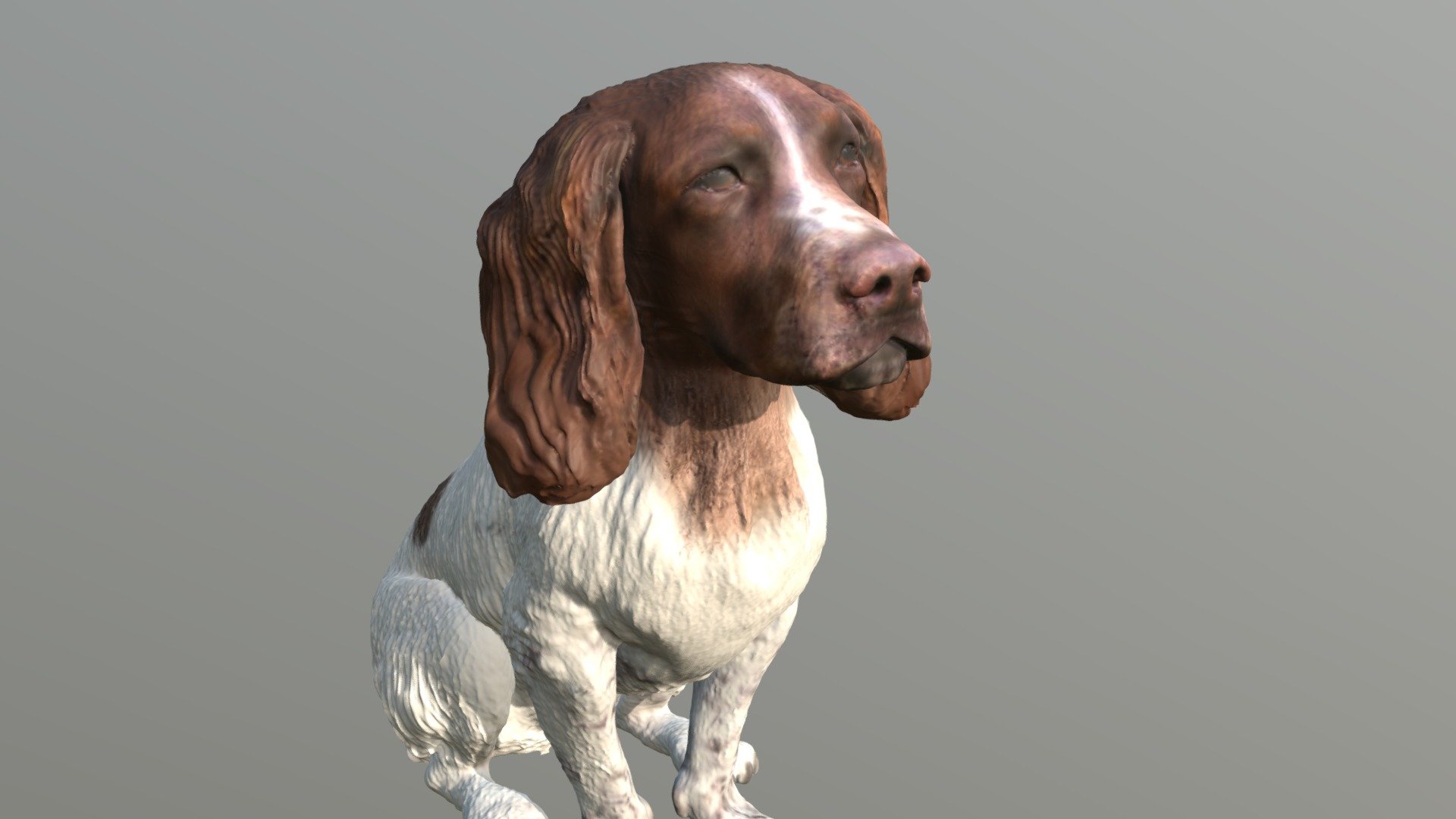1909002- Midge- Sprocker - 3D model by Arty Lobster - Pet Sculptures ...