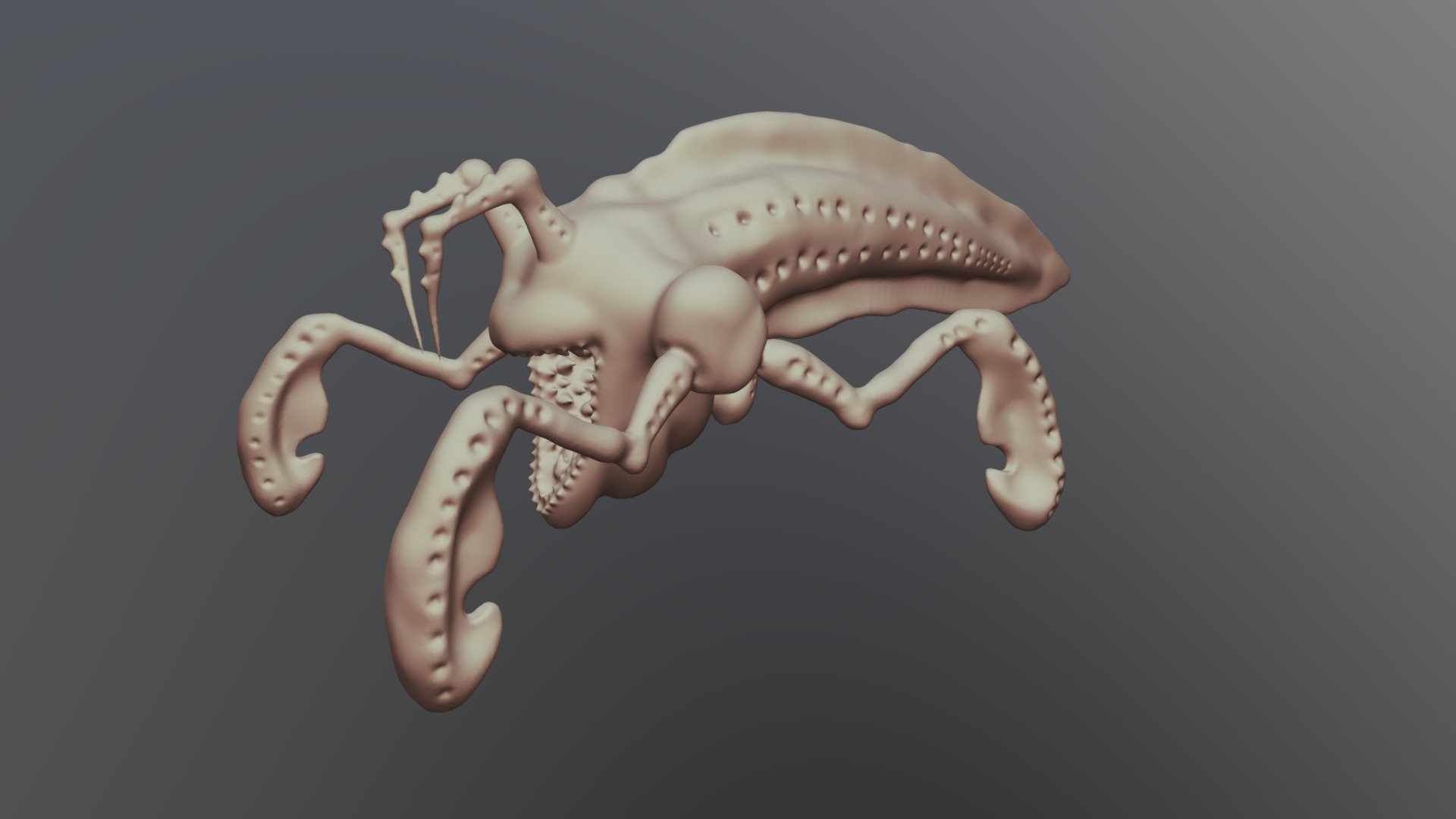 Sand Eater Eel A.K.A. The Caribdis - Download Free 3D model by Sylvia ...