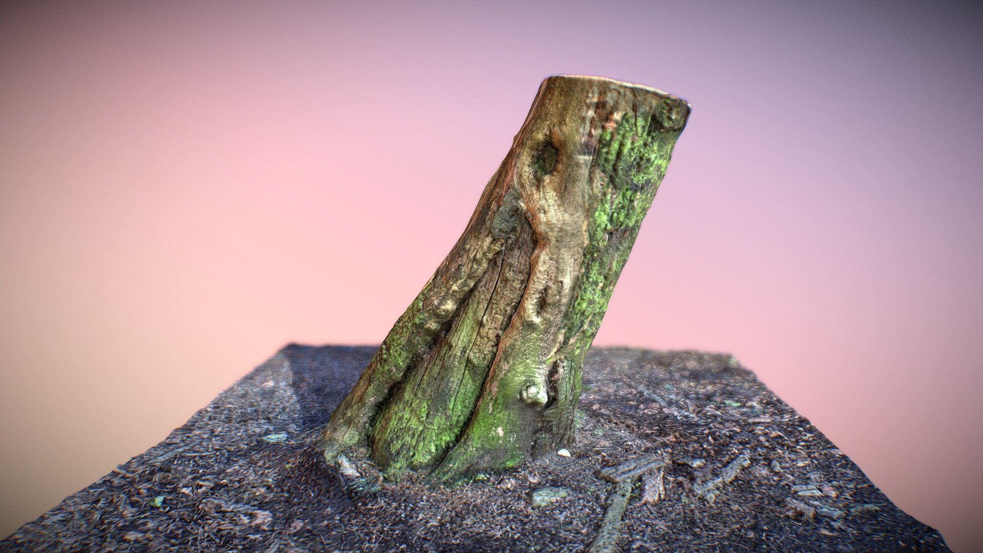 Tree Trunk - 001 - High Poly - Maps 8192 by 8192 - 3D model by Three ...