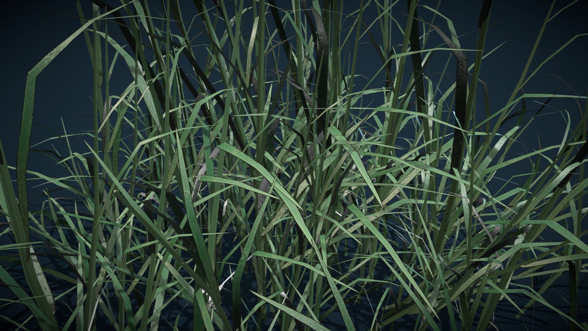 realistics grass 10 - Download Free 3D model by POLYSCAN (@POLYSCAN3D ...
