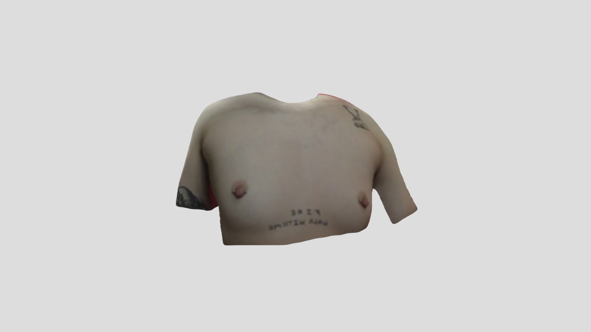 XXXXX bust - Download Free 3D model by fortune500company ...