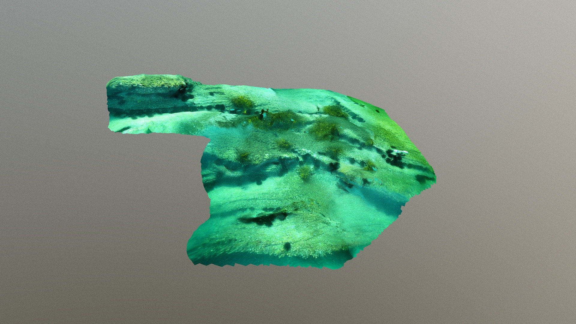 Urchin Barren Map - 3D model by jackscott [afd2cad] - Sketchfab