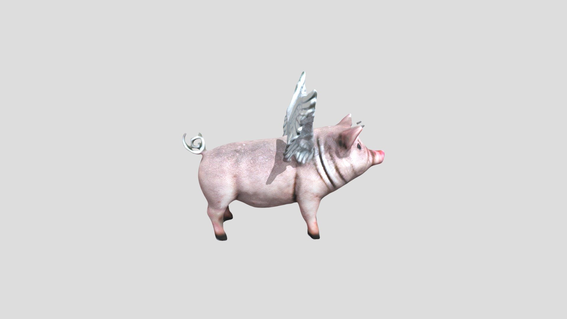 Pigwings - Download Free 3D model by bauermaker [afd6760] - Sketchfab