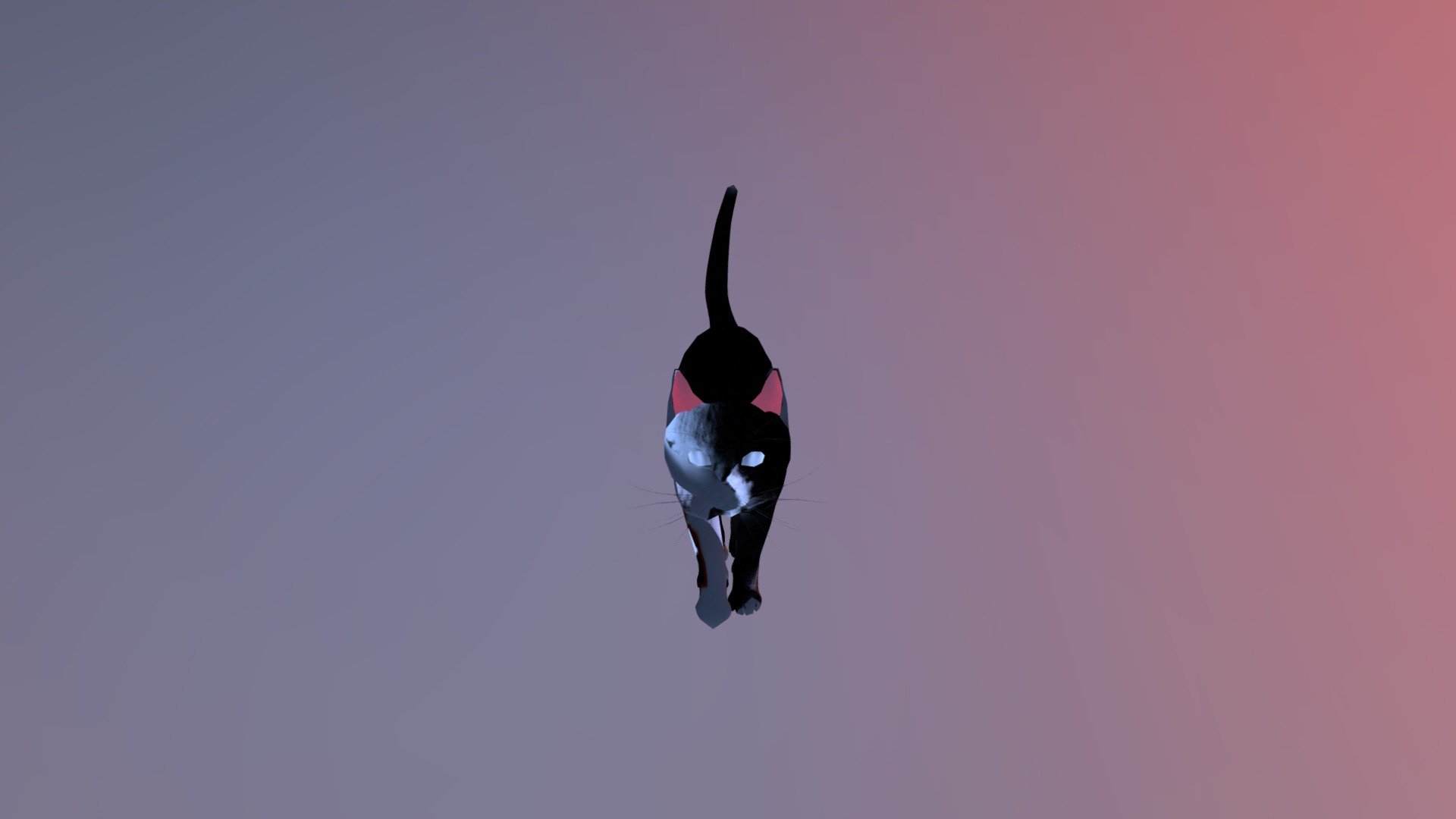 cat-walk animeited 3d model - Download Free 3D model by catching models ...
