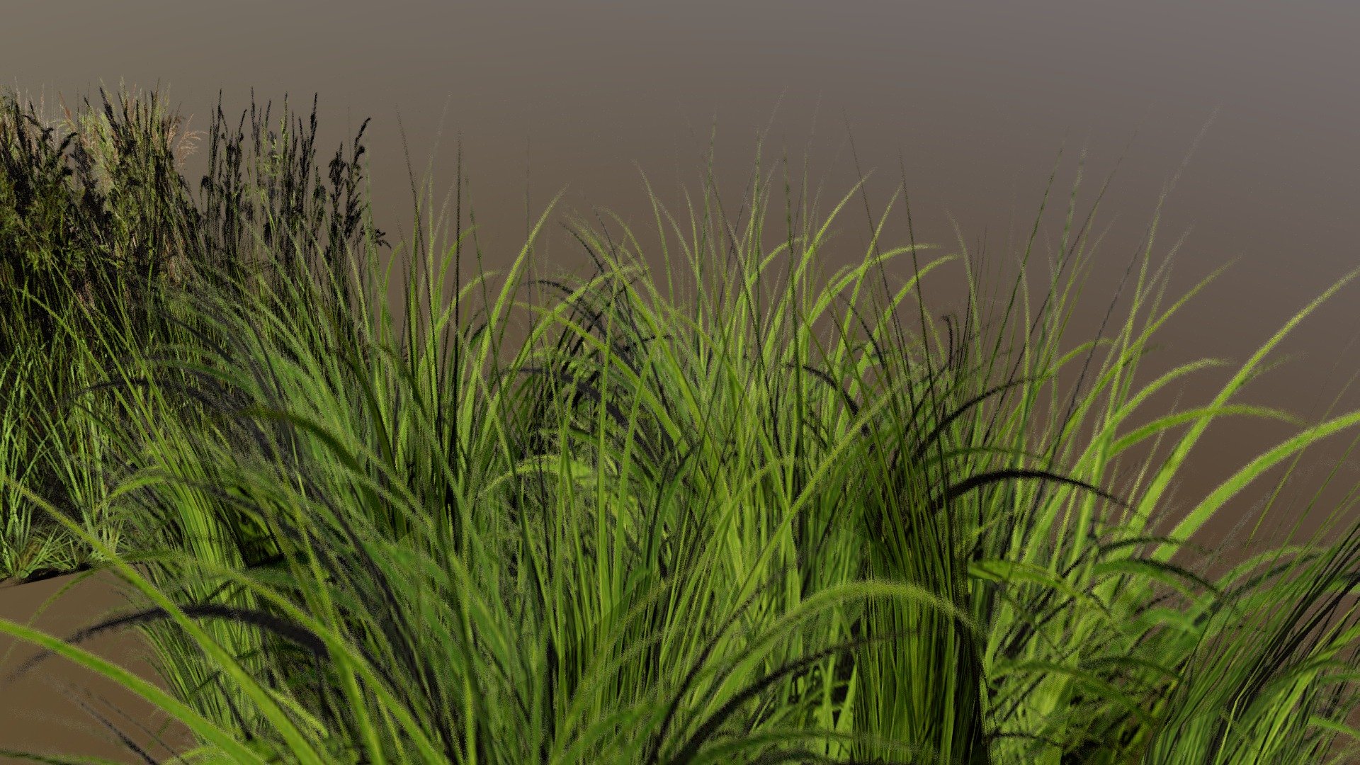 Grass v4 - Download Free 3D model by sam (@serpent) [afe3bd3] - Sketchfab