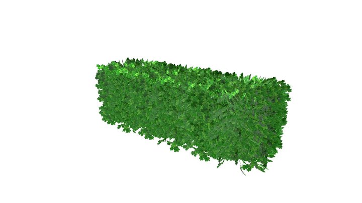 Hedge 3D models - Sketchfab