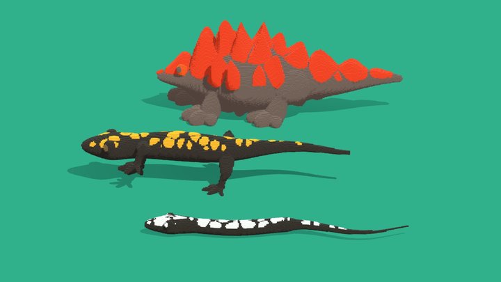 Walk-cycle 3D models - Sketchfab