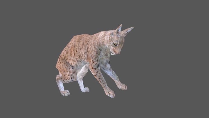 Lynx_wildcat 3D models - Sketchfab