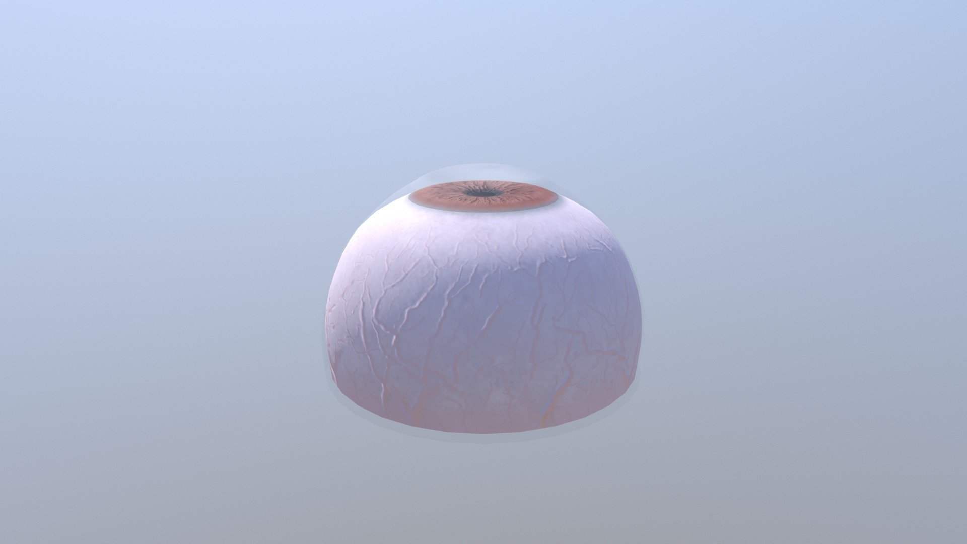 Eyeball - 3D model by Arfront (@Bo.Feng) [aff8d86] - Sketchfab