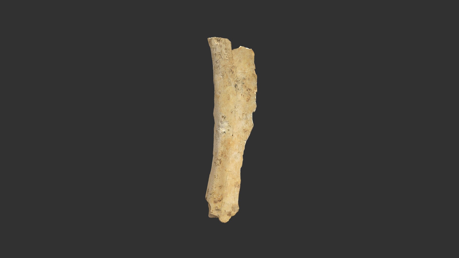 Chinese Oracle Bones, MS-CHI-BONES-CUL-00010 - 3D model by Cambridge ...