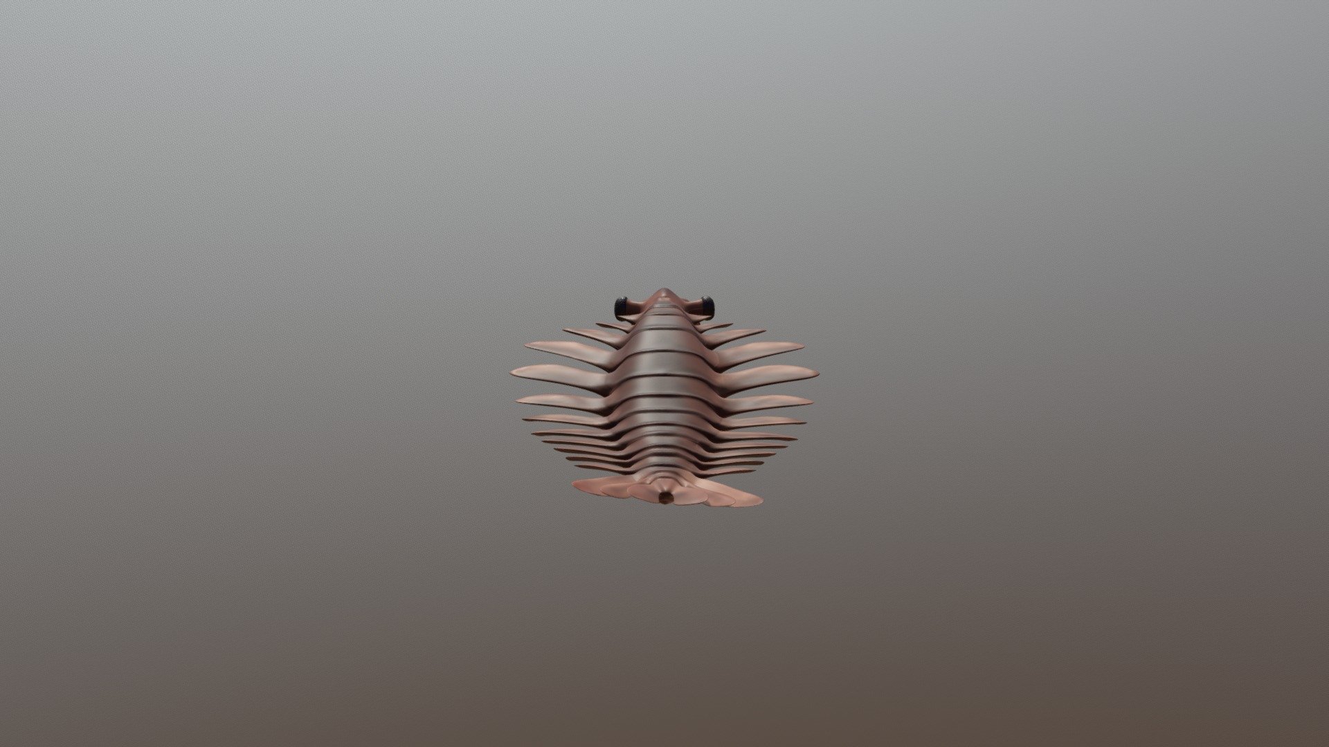 Anomalocaris - 3D model by dankleosteus [b0008a4] - Sketchfab