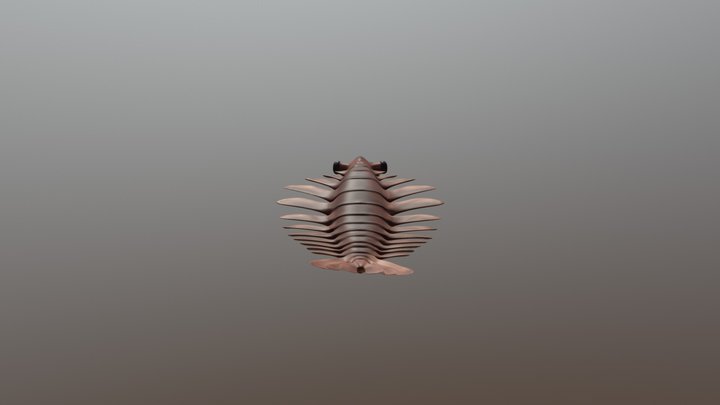 Anomalocaris 3D models - Sketchfab