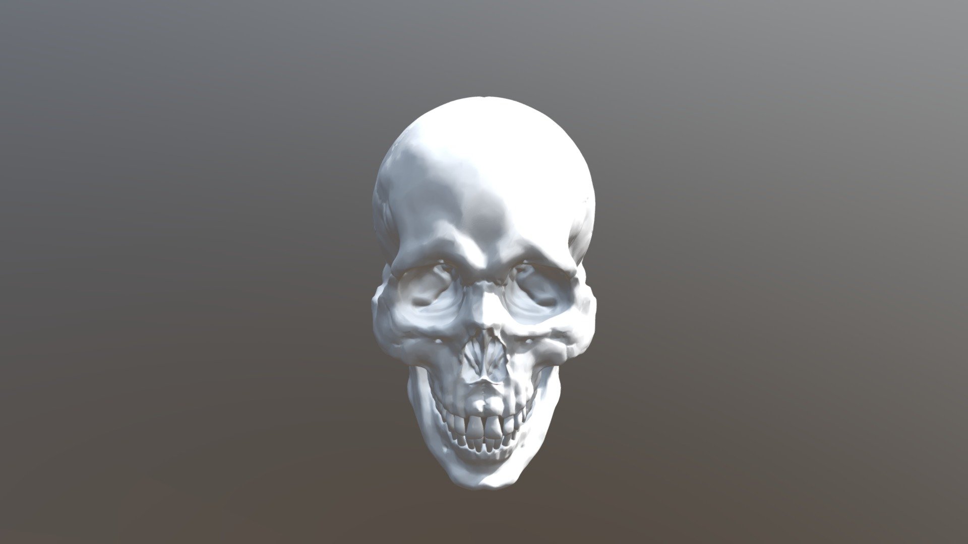 Skull_Anatomy - 3D model by Kasia_Jurkiewicz [b000b51] - Sketchfab