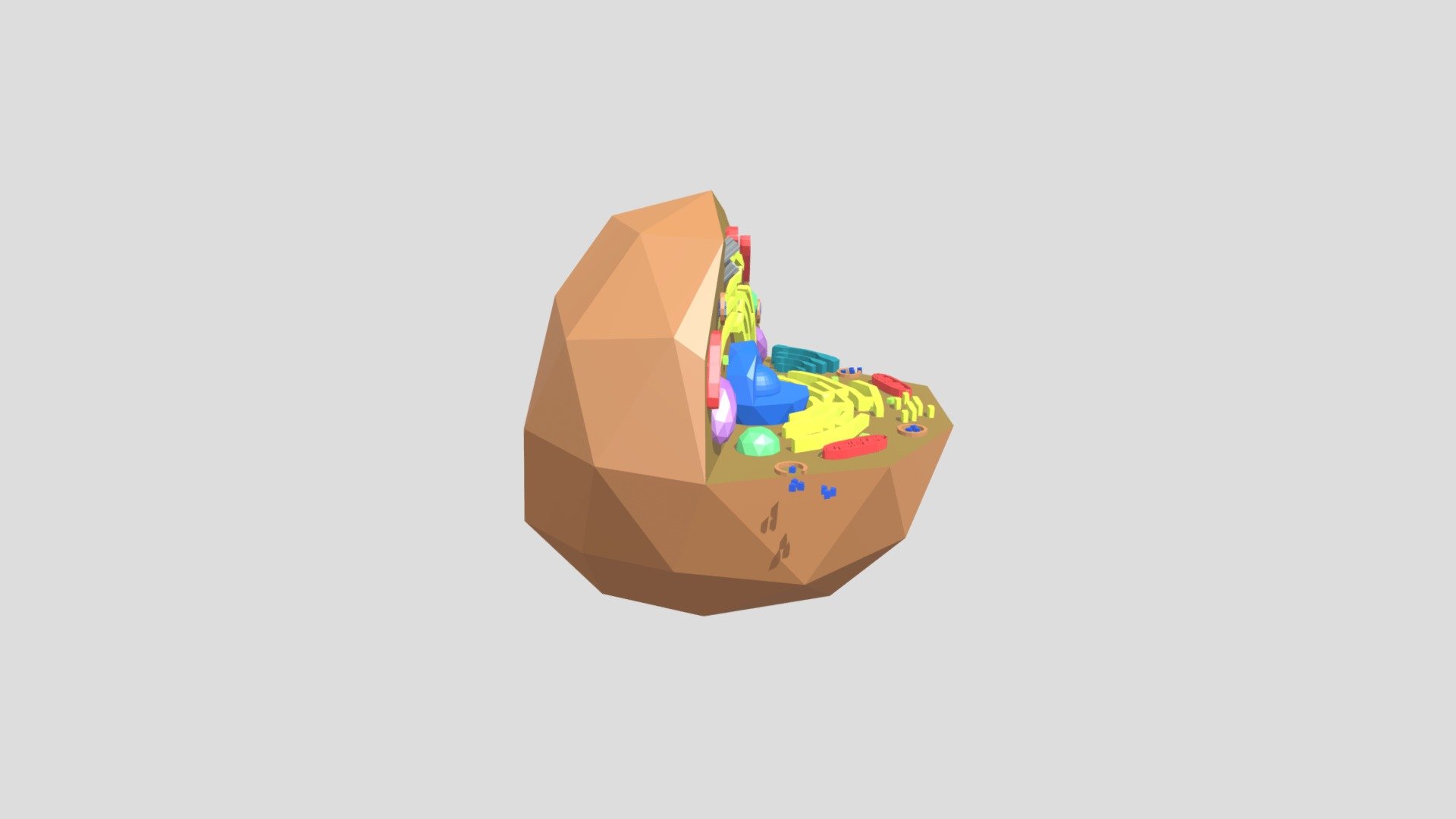 ökaryot hücre - 3D model by felicio [b0035cc] - Sketchfab