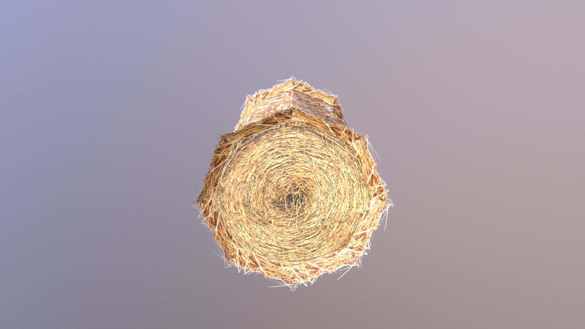 Hay Bale - 3D model by Rhyanan Key (@UnmeiGirl) [b00b9ba] - Sketchfab