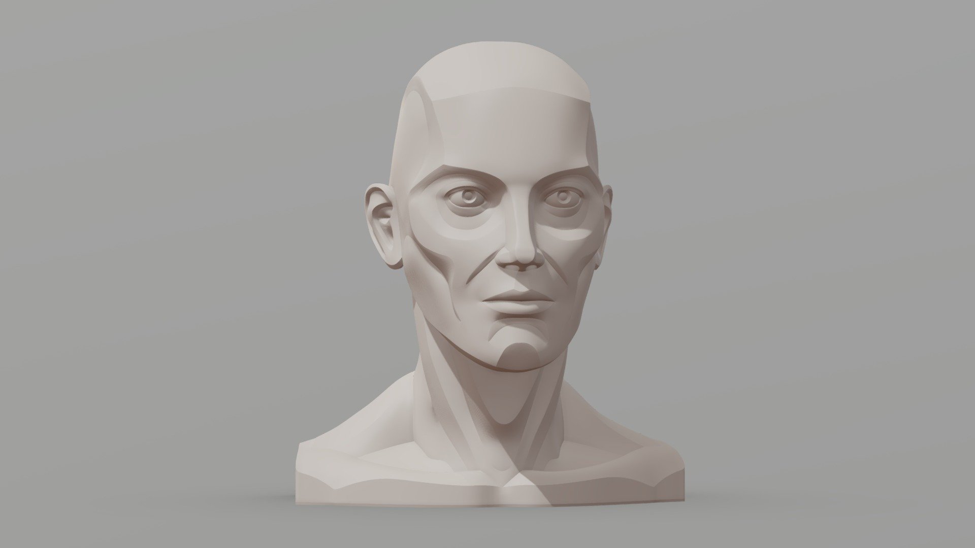 Male Planar Sculpted Head Drawing Reference - 3D model by noghost ...