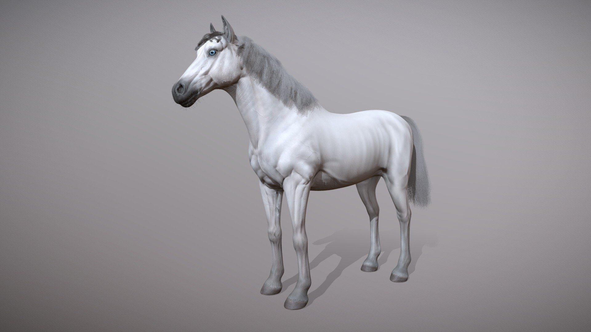 PBR White Horse 3D model - 3D model by Casualduck24 [b01210d] - Sketchfab