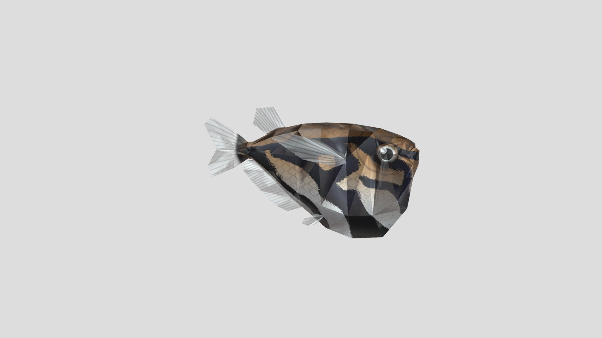 marbled hatchetfish - 3D model by loal1713618 [b0147f6] - Sketchfab