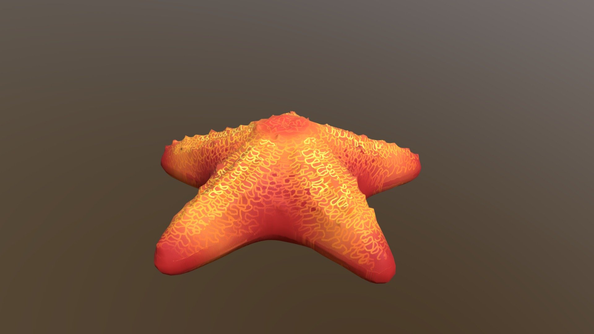 Starfish - Download Free 3D model by kenchoo [b018478] - Sketchfab