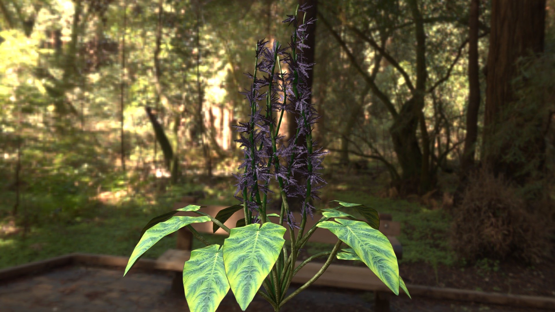 Lavender - 3D model by AdamBetts [b01c0fd] - Sketchfab