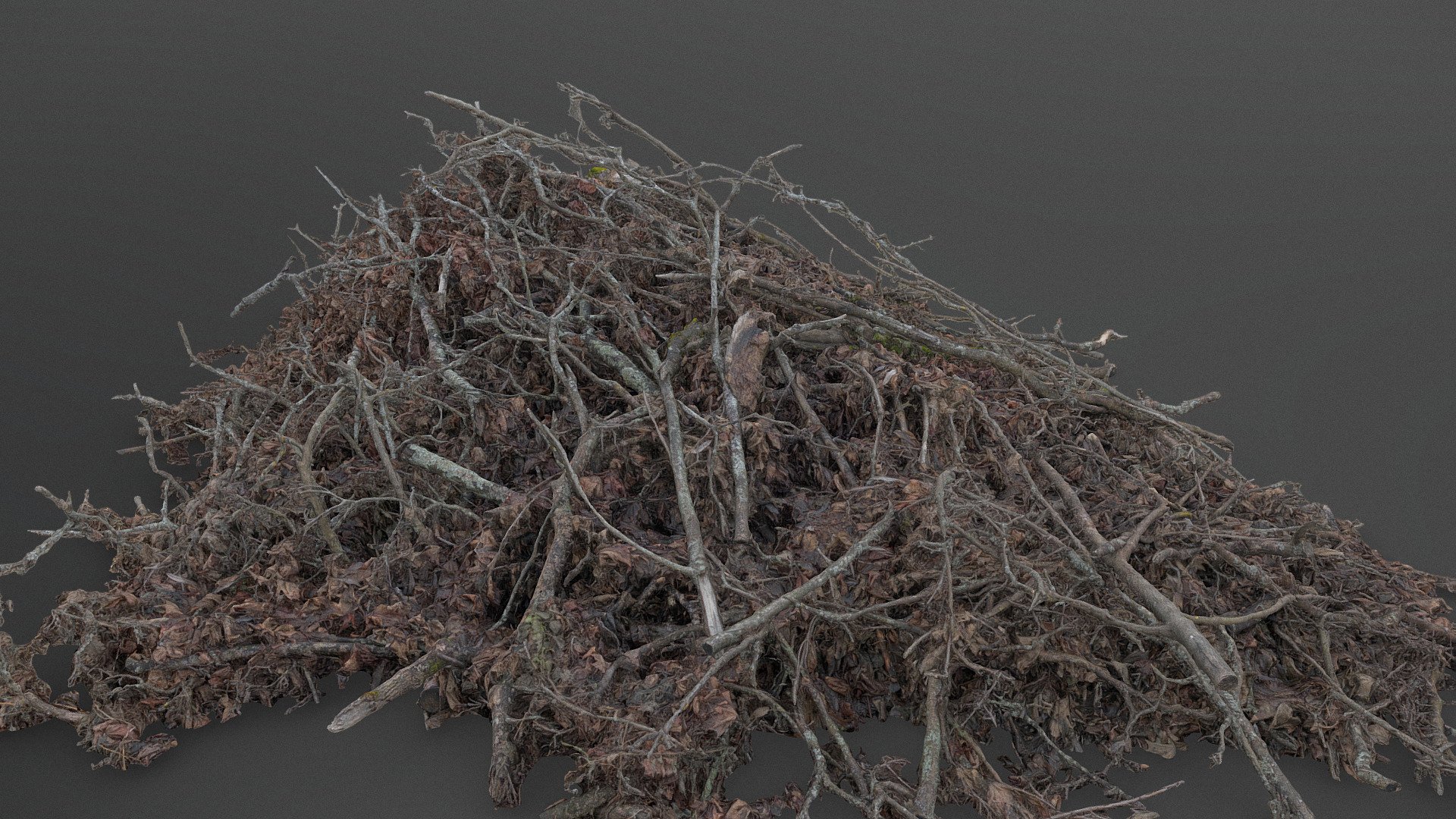 Old tree branches pile - Buy Royalty Free 3D model by matousekfoto ...