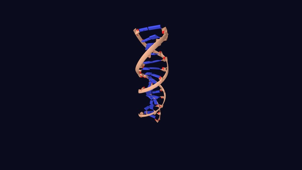 ADN - 3D model by 11hce [b02c102] - Sketchfab