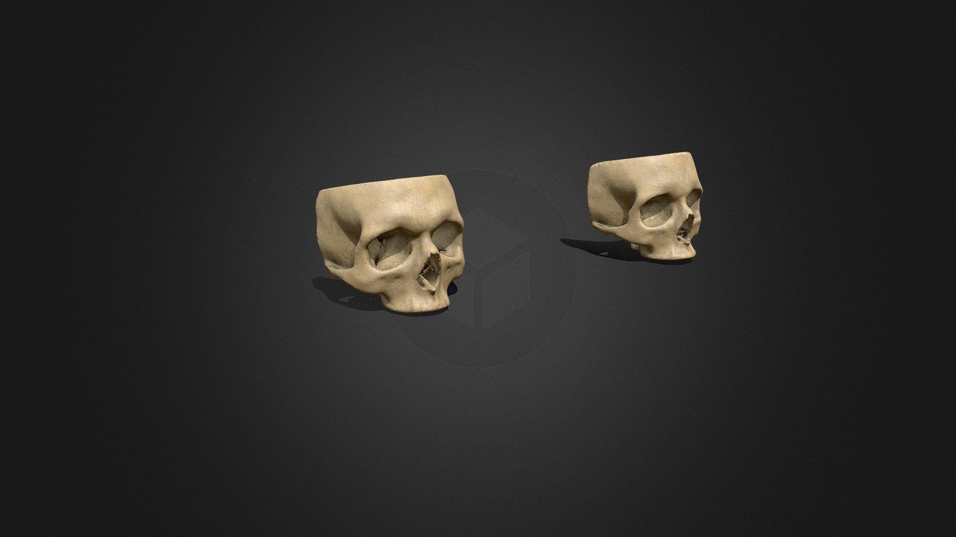 Facial Skeleton Aging M_F 20-39 - 3D model by erickokmc13 [b032c62 ...