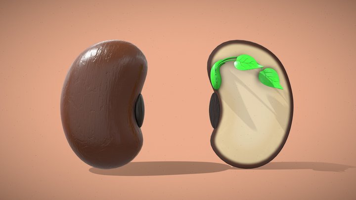 Seed 3D models - Sketchfab